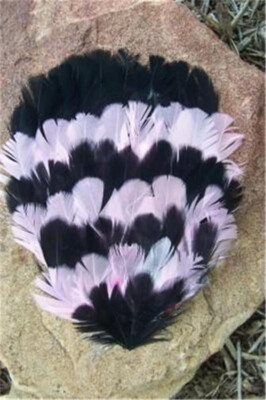 4 Pc. B Quality-Soft Pink-Black Rooster Feather Pads-Hat-Headband-Sew ...