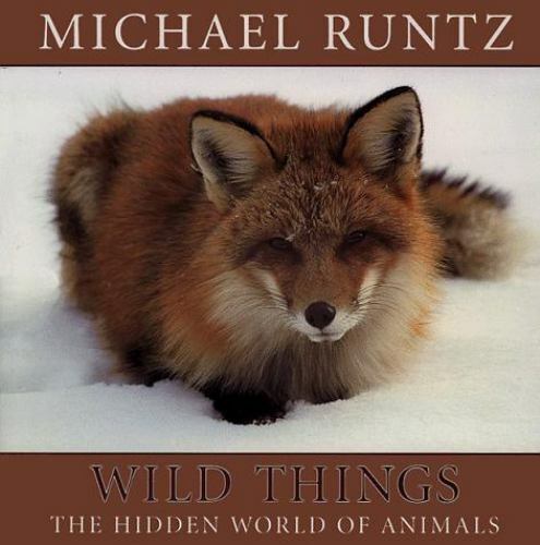 Wild Things : The Hidden World of Animals by Michael Runtz and Michael ...