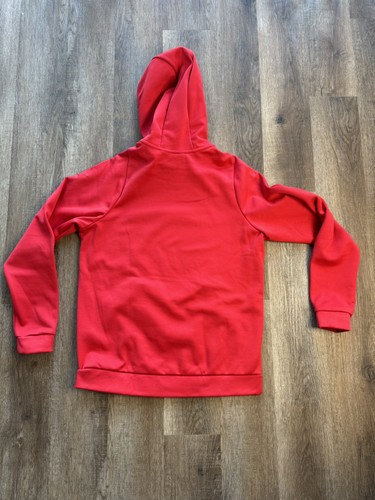 Nike Men's Team Scarlet Therma-FIT Pullover Fleece Hoodie State Farm ...