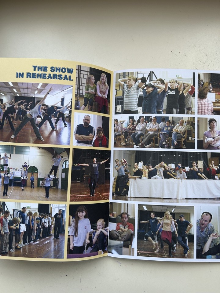 MATILDA The Musical theatre programme ORIGINAL CAST RSC Bertie Carvel ...