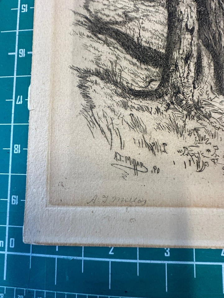 Vintage Old Forest Etching HandSigned Landscape | eBay