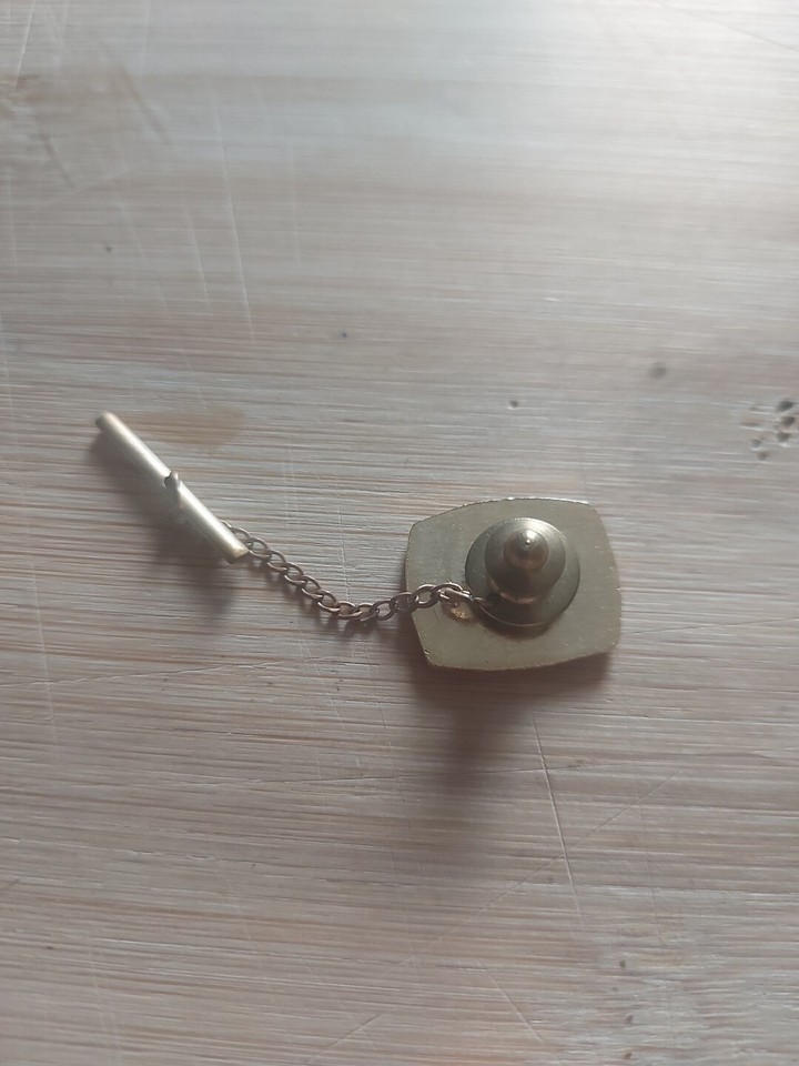 UK Scouting Wood Badge Basic Training Gilwell Park Square Tie Pin Tie ...