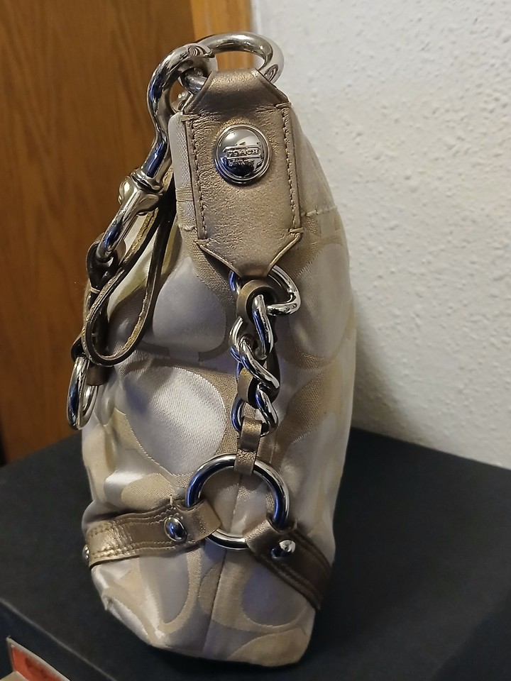 Coach Signature Carly Op Art Sateen Hobo Bag F15250–Champagne/Gold ...