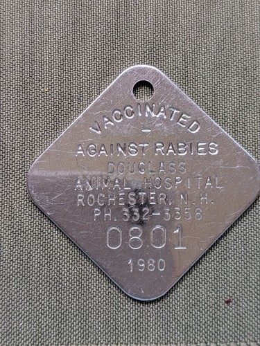 Vintage Dog Tag Aluminum 1980 Rabies Vaccine #0801 Rochester NH | eBay