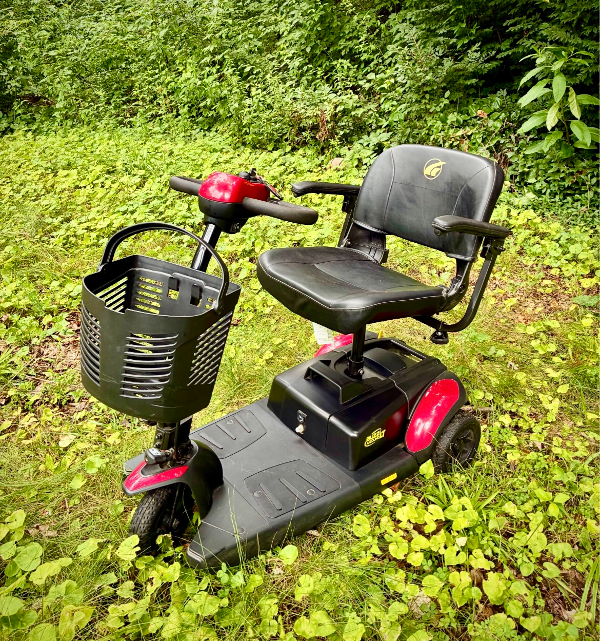 3-Wheel Mobility Scooter, Buzz Around LX Luxury Model# GB149 | eBay