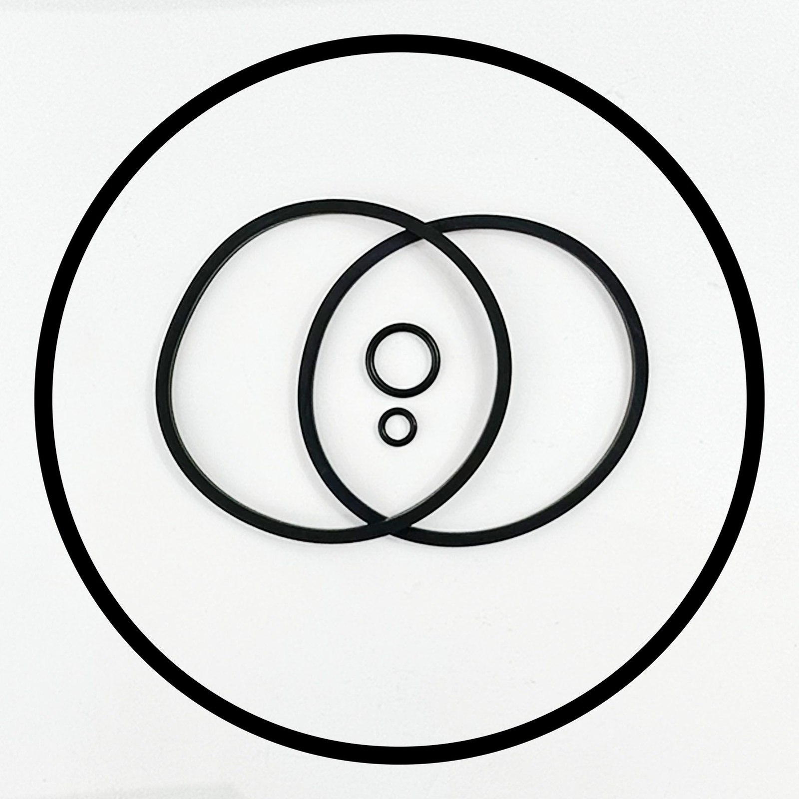 E-FT4788 Element Fuel Filter For FIAAM | eBay