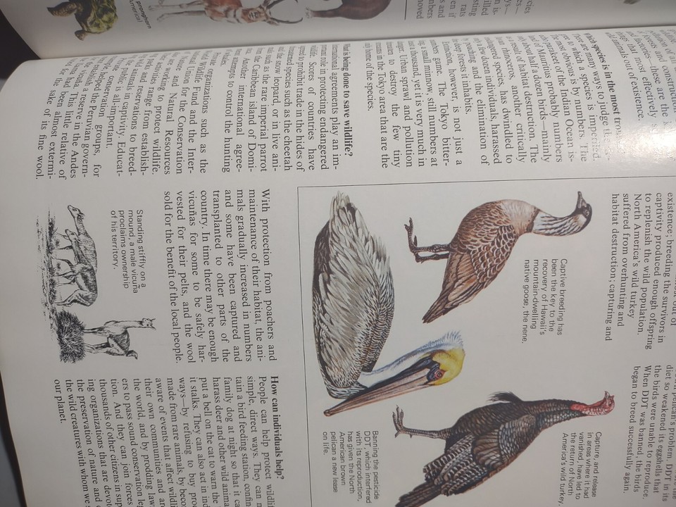 ABCs of Nature A Family Answer Book by Reader's Digest 1985 5824 | eBay