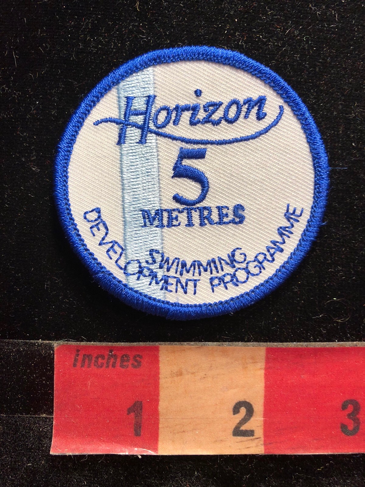 Horizon 5 Metres Swimming Developemeny Programme Swim Patch S83E | eBay