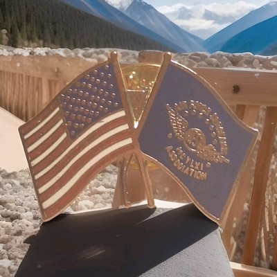 AIR FORCE SERGEANT ASSOCIATION AUXILIARY PIN | eBay