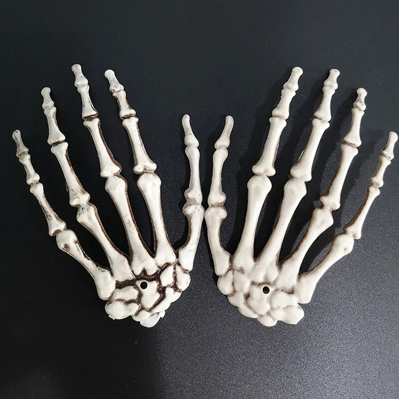 Human Skeleton Hand