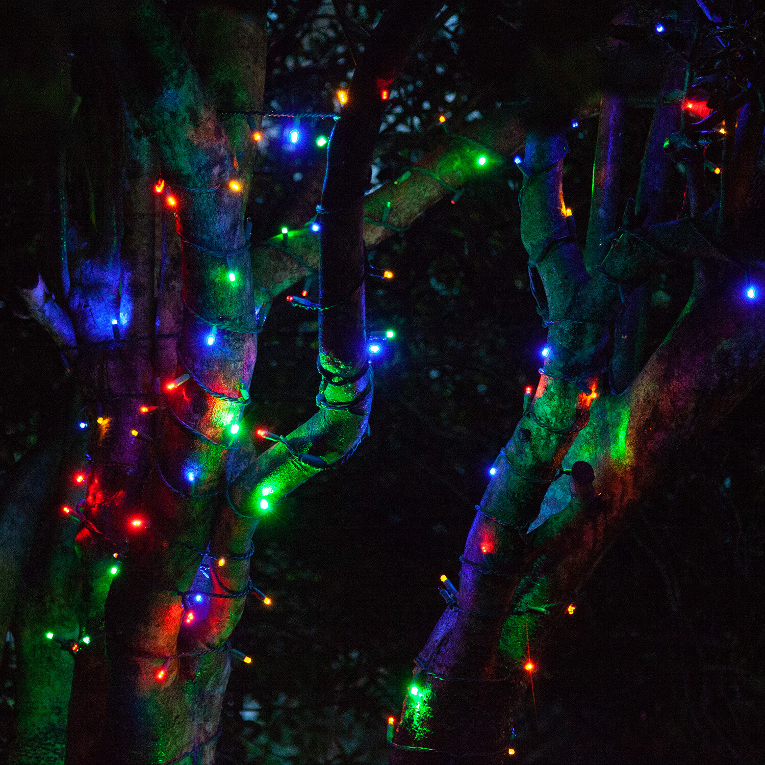 Soft Twinkle LED String Lights Indoor Outdoor Pulsing Christmas Wedding ...