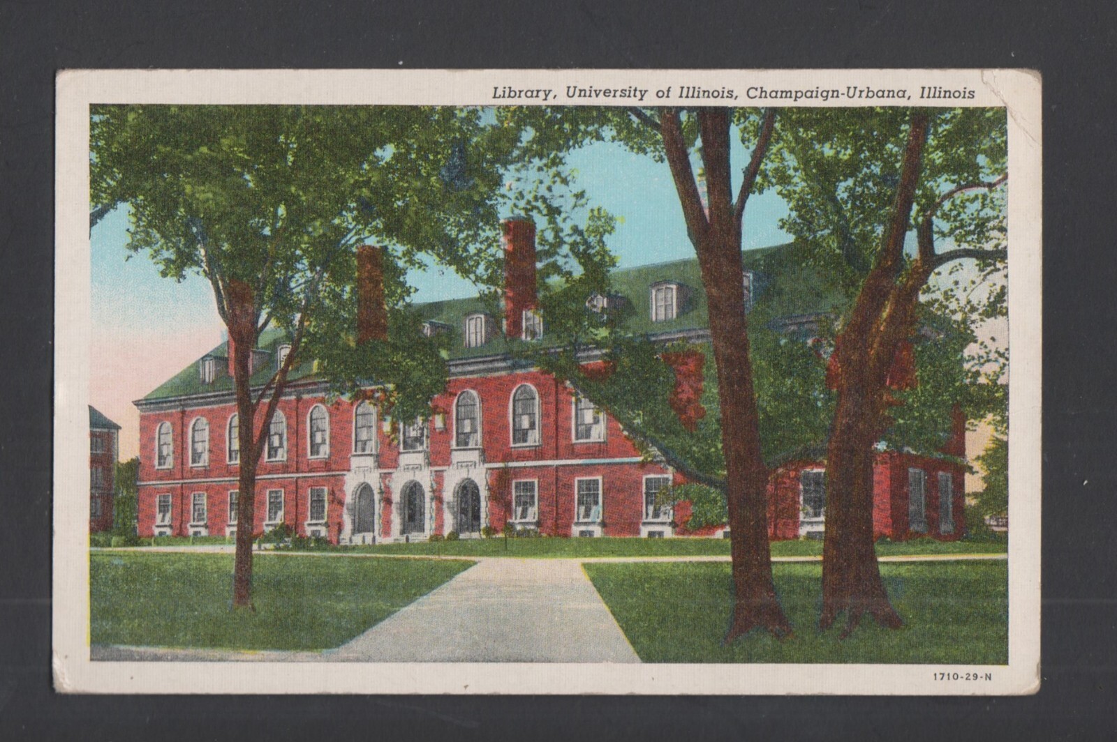 Champaign-Urbana University of Illinois Library white border postcard ...