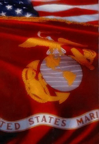 US MARINE BATTLE COLORS FLAG HAT PIN MARINES USMC COLOR GUARD SEMPER FI ...