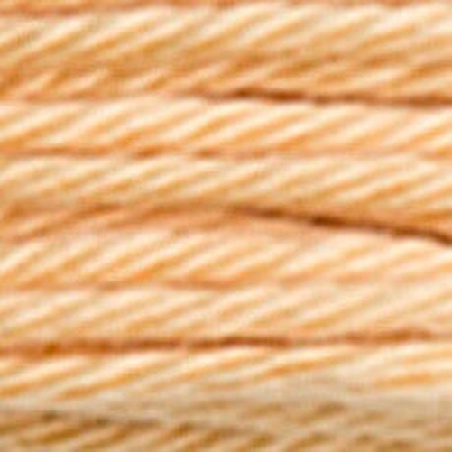 Thread Twisted Yarn DMC Col. 2158 Canvas And Tapestry | eBay
