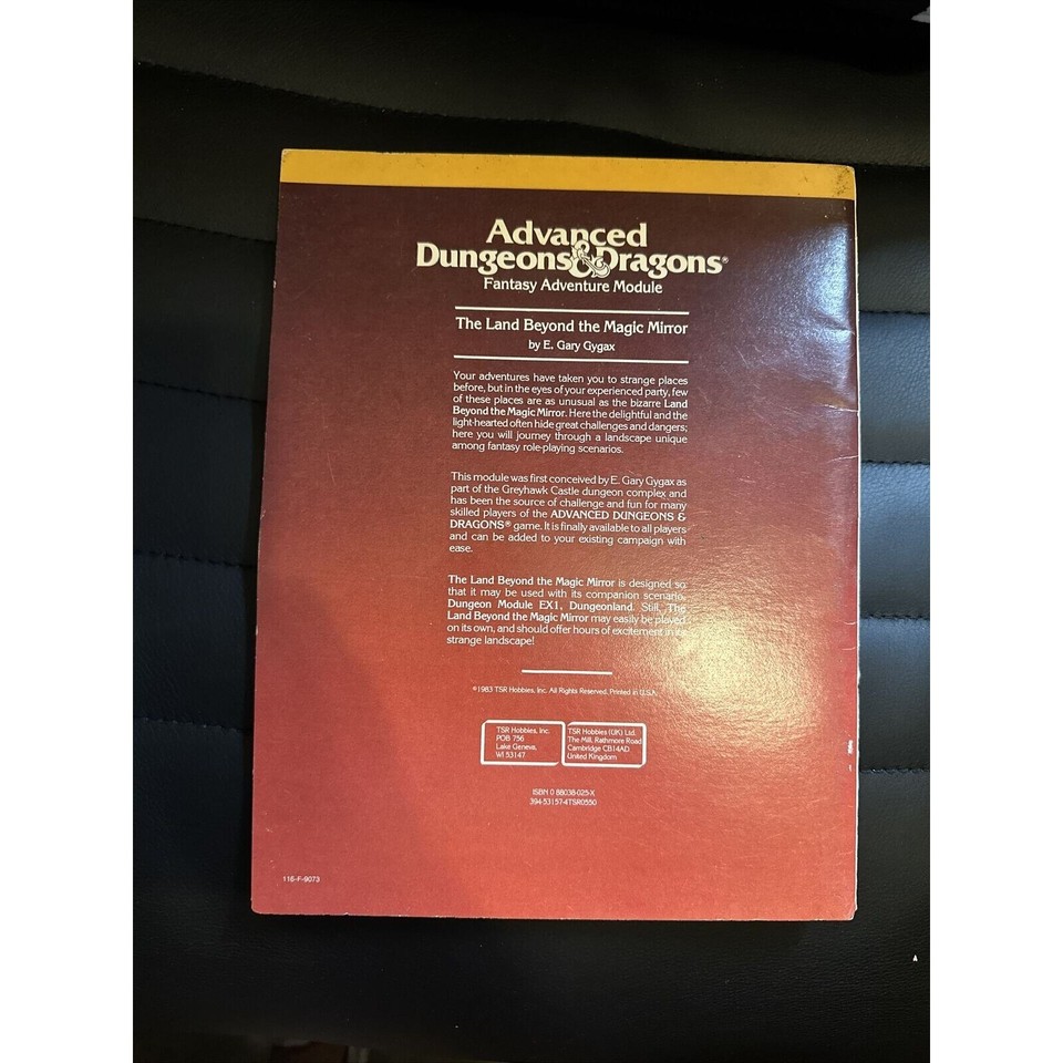 EX2 AD&D Module The Land Beyond the Magic Mirror Dungeons & Dragons TSR ...