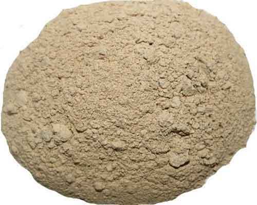 Majuphal Powder Quercus Infectoria Manjakani Gall Oak Aleppo Oak Magic ...