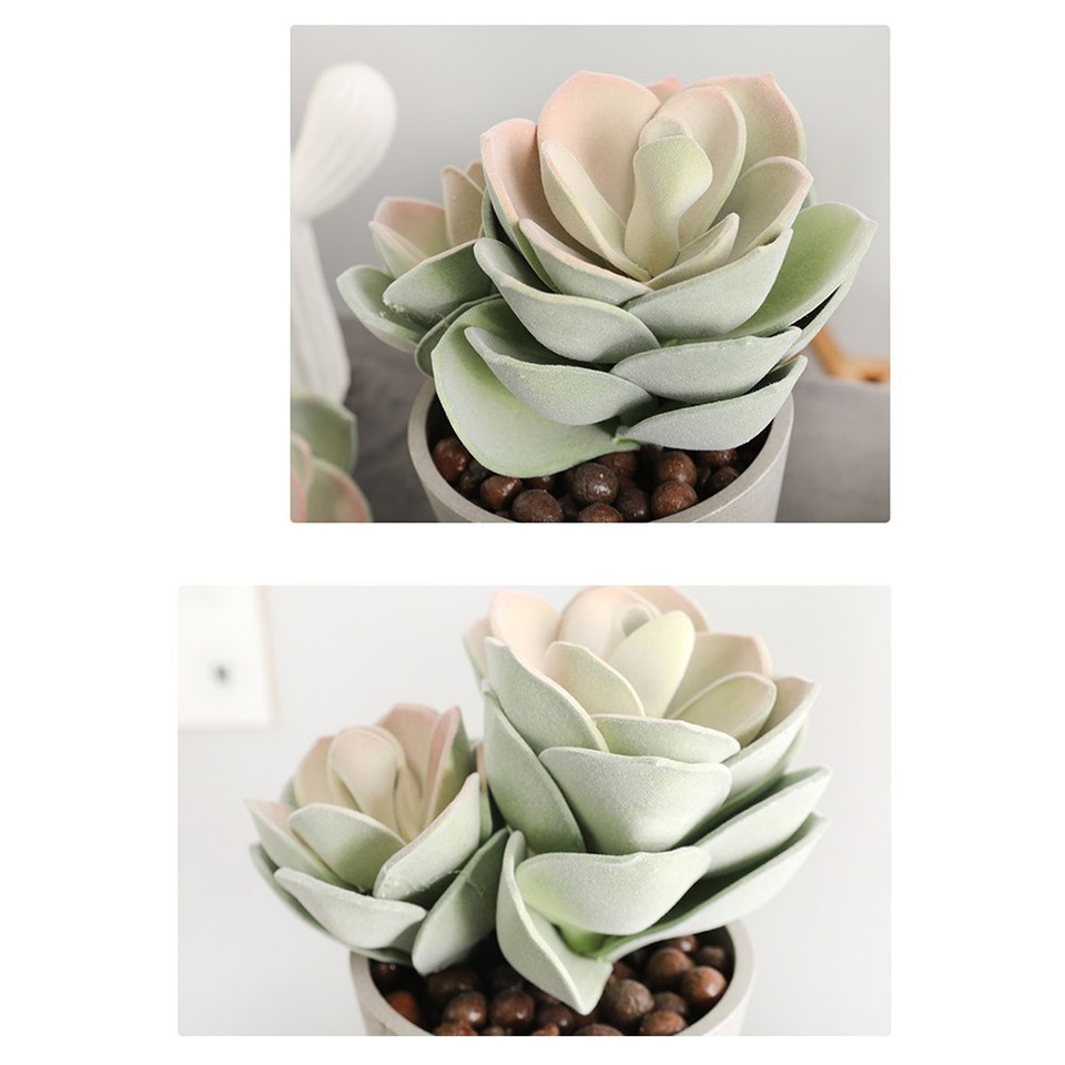Flocked Succulent Faux Succulent Plant Pachyphytum Shape Soft Flocked ...