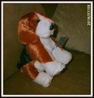 Webkinz Beagle Plush HM141 Ganz, NWT - Unused Sealed Tag - RETIRED | eBay