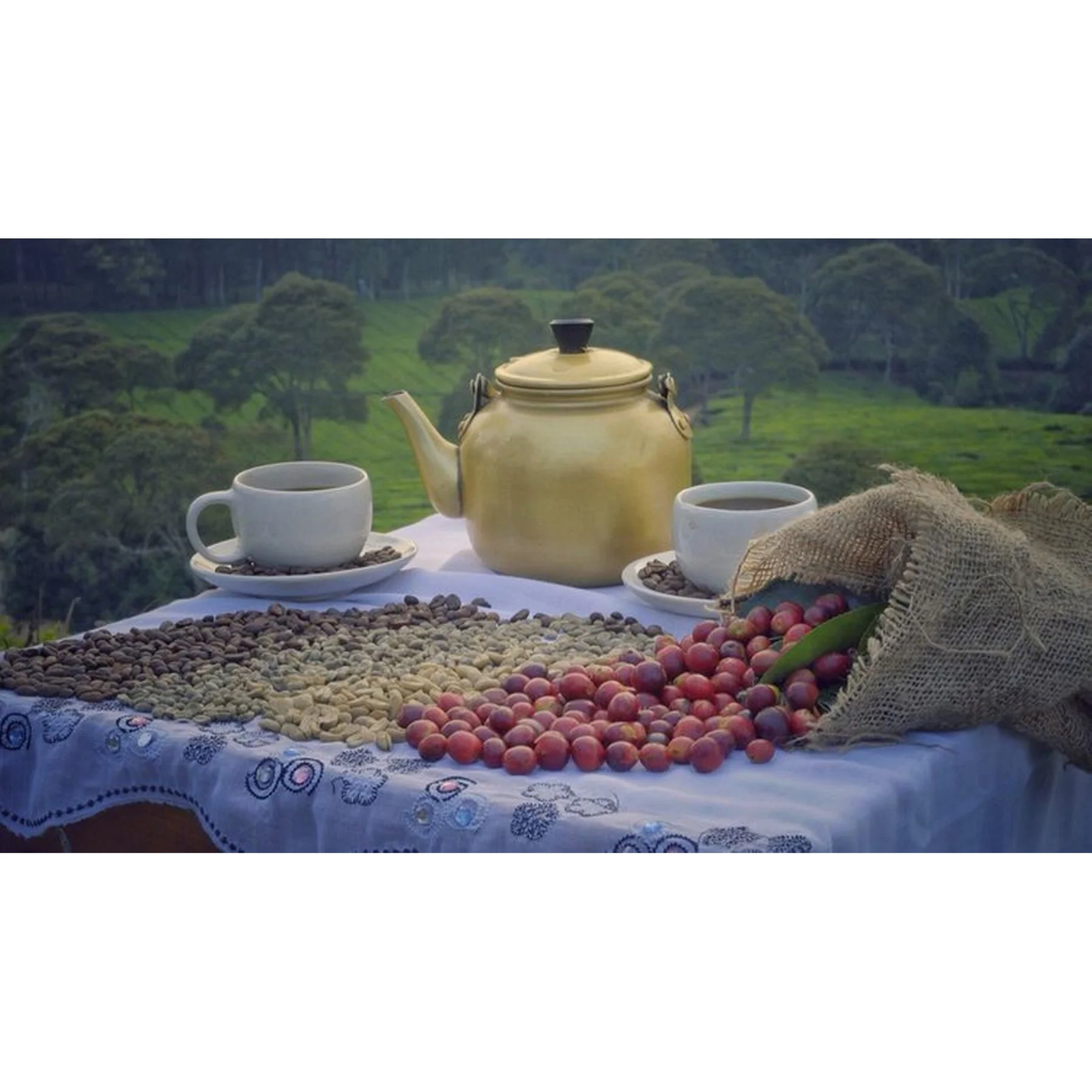 Kaya Kopi From Indonesia Wild Palm Civets Process Arabica Whole Coffee ...