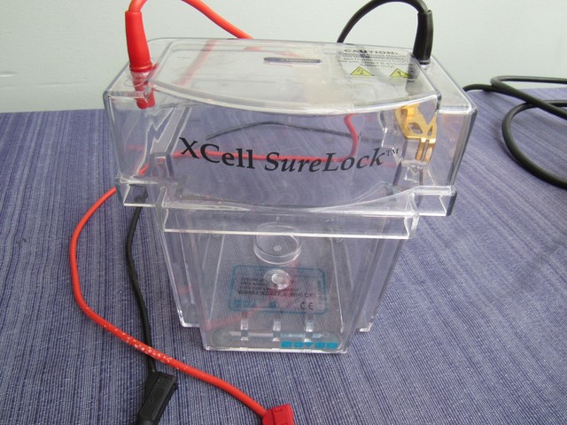 Invitrogen Mini-cell GEL Surelock Cell Module Xcell II Vertical Sure ...