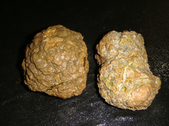 2 WHOLE OLD PRIDAY PLUME BED THUNDER EGGS 1 1/2 + POUNDS RICHARDSON ...