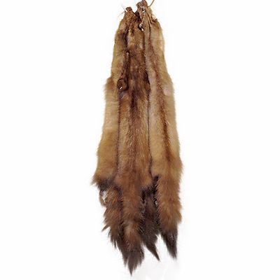 Glacier Wear Premium Label Russian Sable Pine Marten Fur Pelt Hide ...