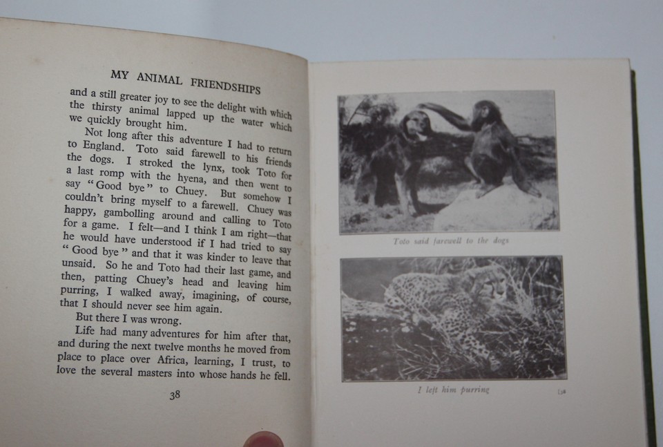 Kesteven And Grantham Girls’ School Audrey Asher 1932 (Margaret ...