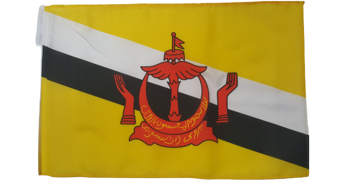 Courtesy Flag 1.5ft x 1ft Sleeved Polyester 180+ designs FREE P&P | eBay UK