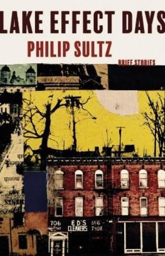 Philip Sultz Lake Effect Days (Poche) 9781946053152 | eBay