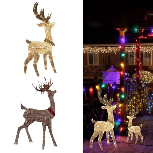 Charming Glowing Deer Christmas Lights Create a Memorable Holiday ...