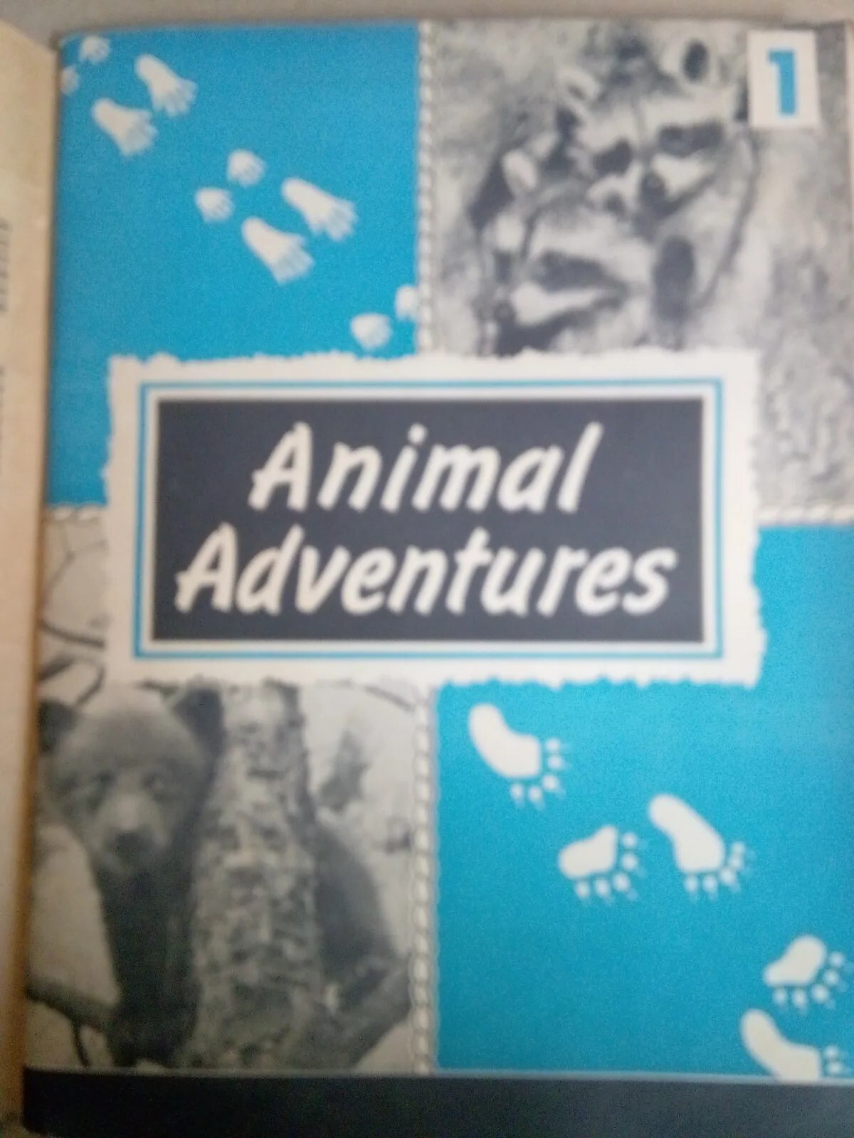 Vintage 1957 "Reading Adventures" Book A by Charles E. Merrill Books | eBay