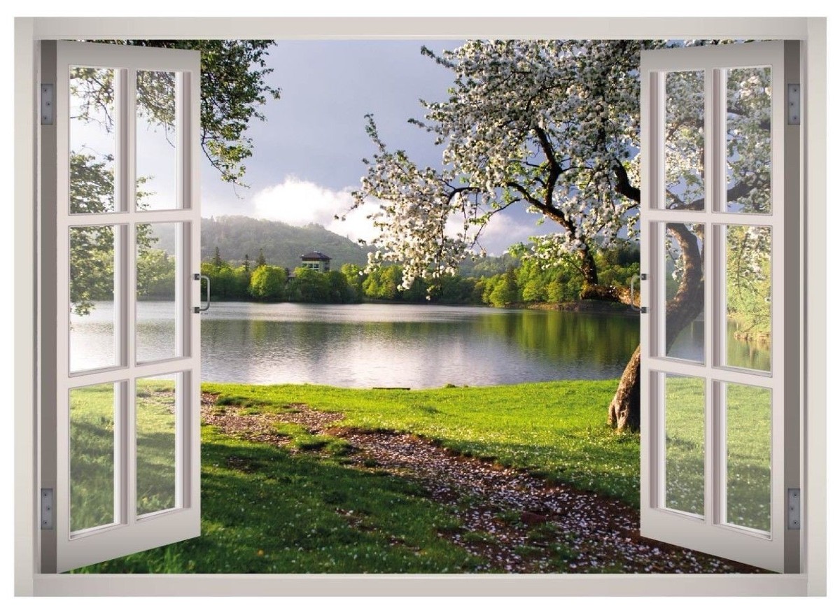 Window View Of Garden