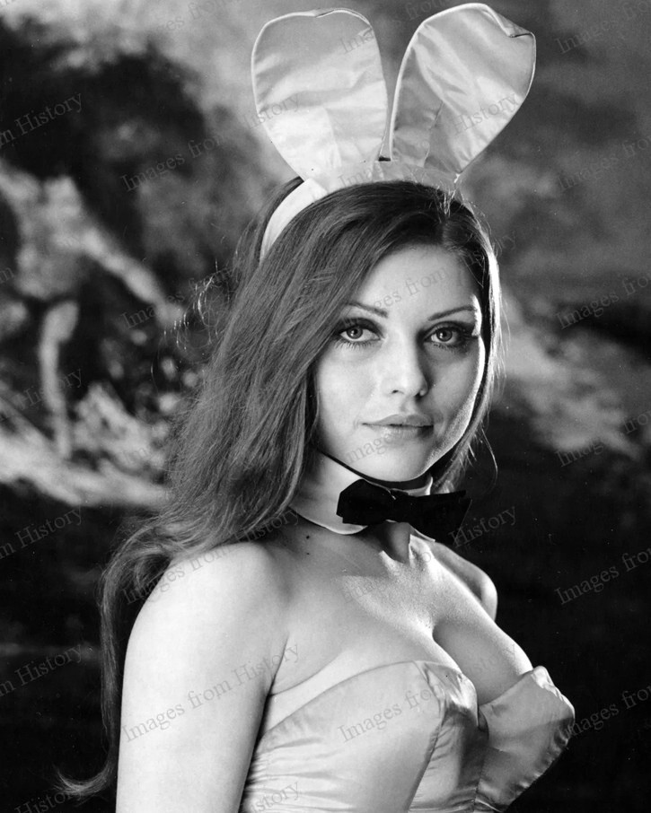8x10 Print Debbie Harry Blondie worked as Playboy Bunnie 1968-73 #PLY A | eBay