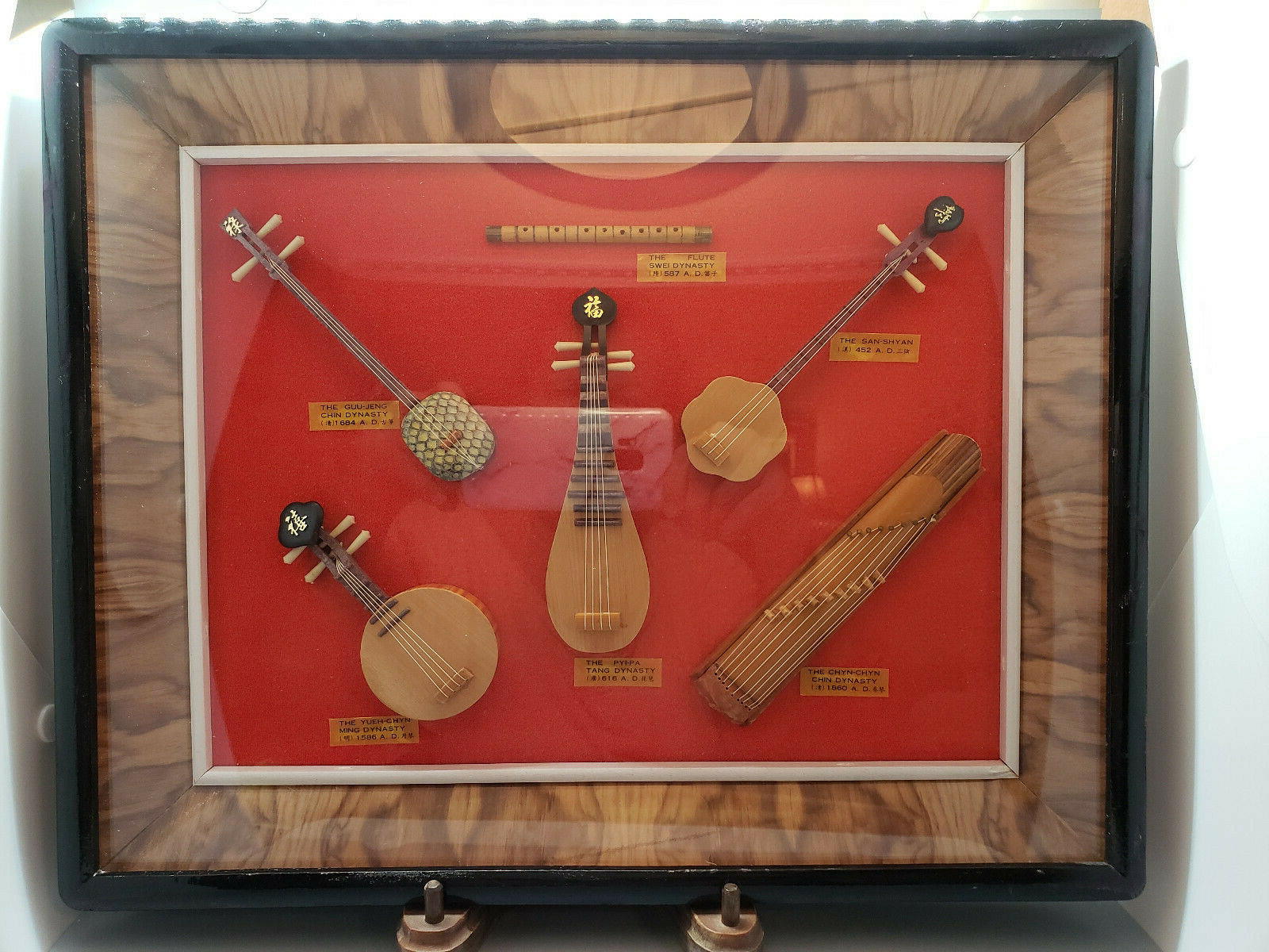 Framed Miniature Instrument Display History of Stringed Music unique | eBay