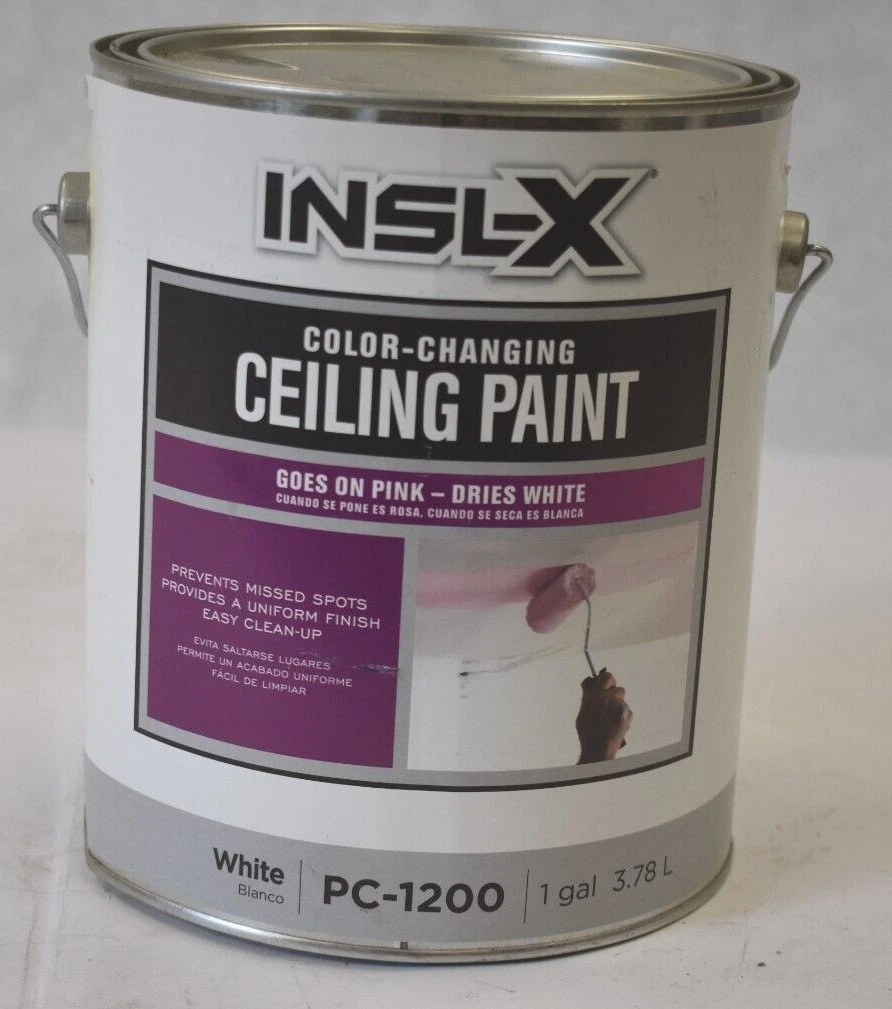 Best Color Changing Ceiling Paint | Shelly Lighting
