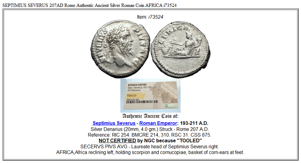 SEPTIMIUS SEVERUS 207AD Rome Authentic Ancient Silver Roman Coin AFRICA ...