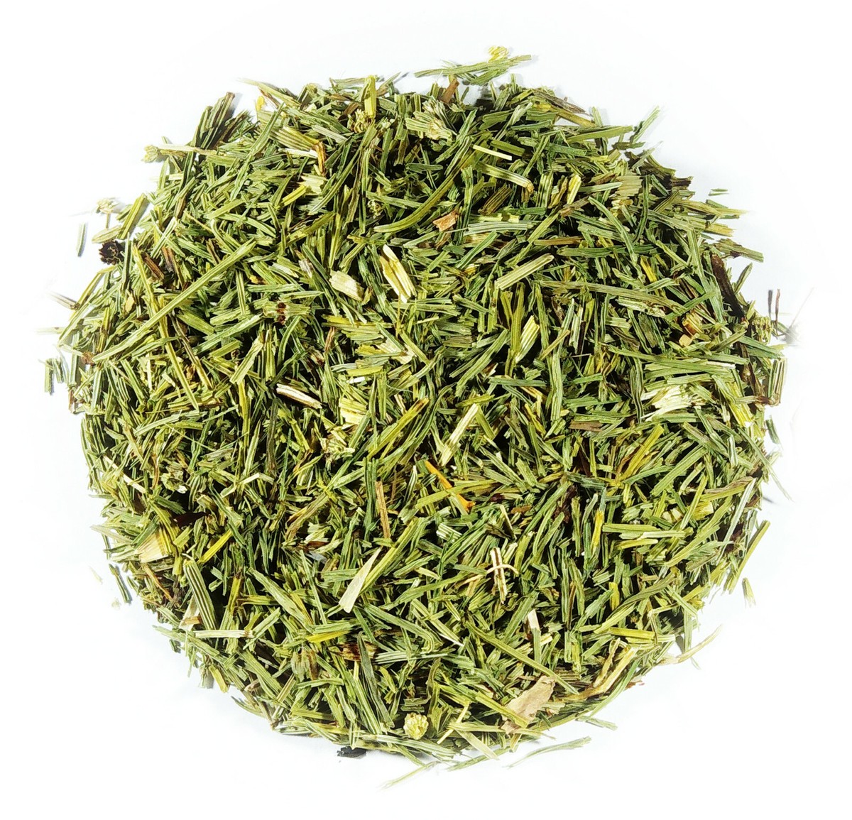 Equiseti