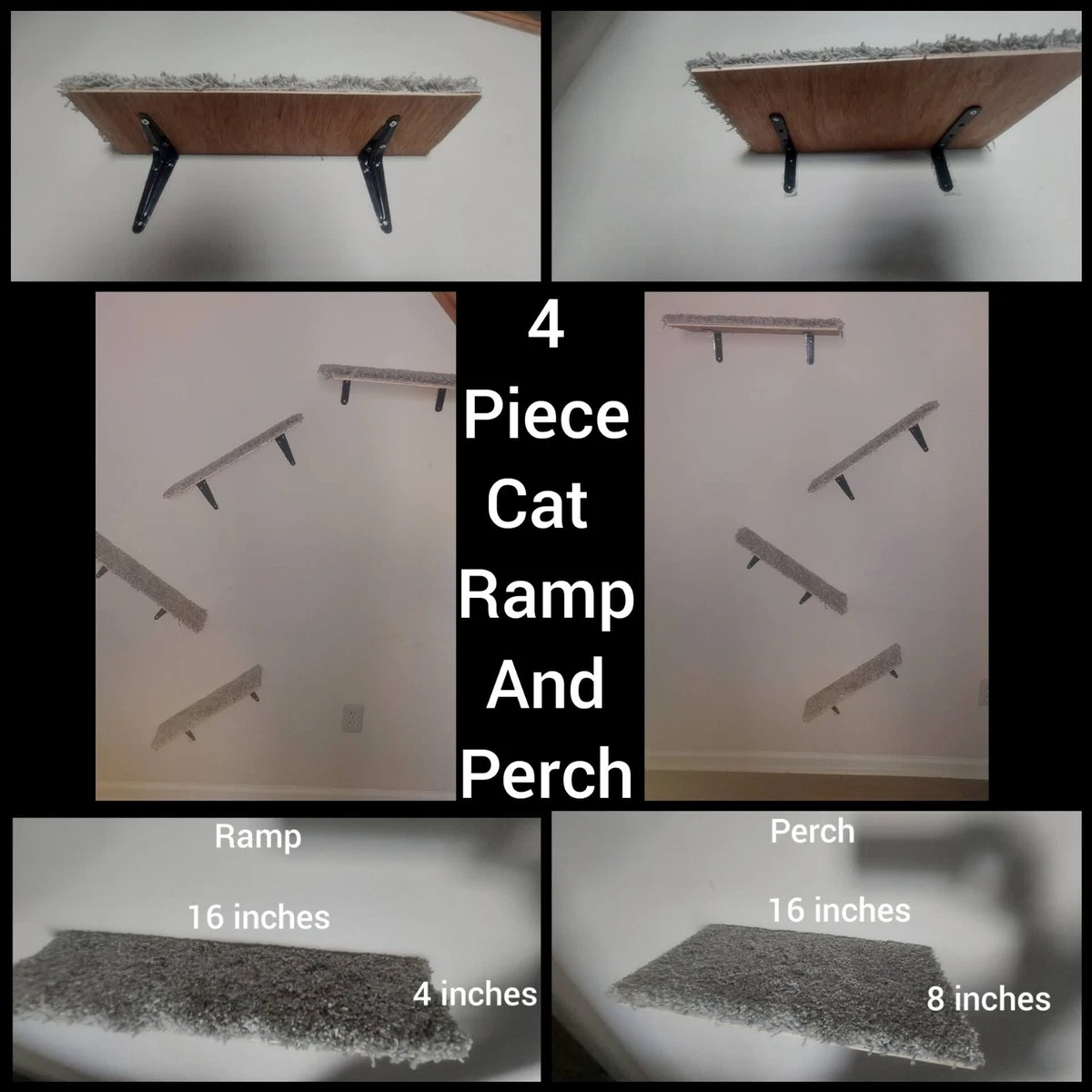 Cat Ramps On Walls