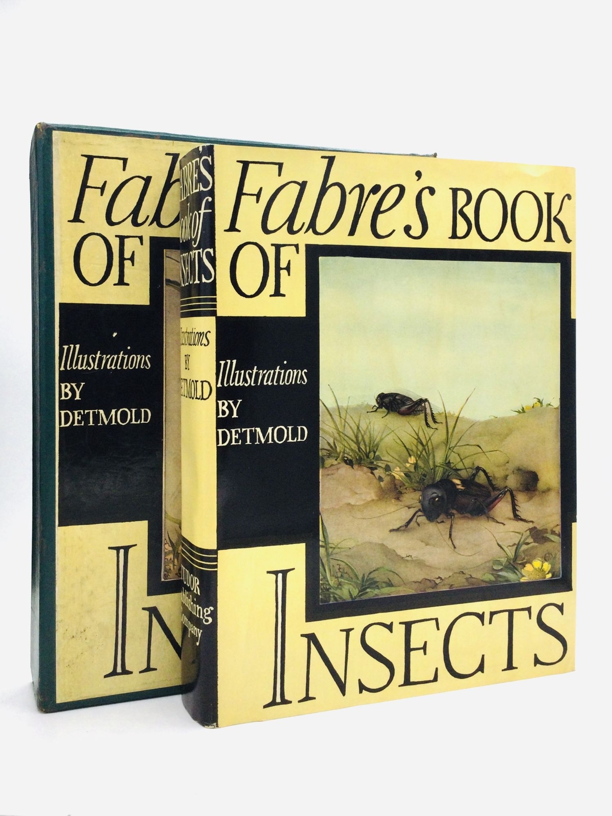 Jean Henri Fabre / FABRE'S BOOK OF INSECTS 1936 | eBay