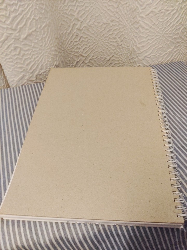 Unique Emo Goth Scene Vampire Spiral Drawing/ Writing Notebook 75 Page ...