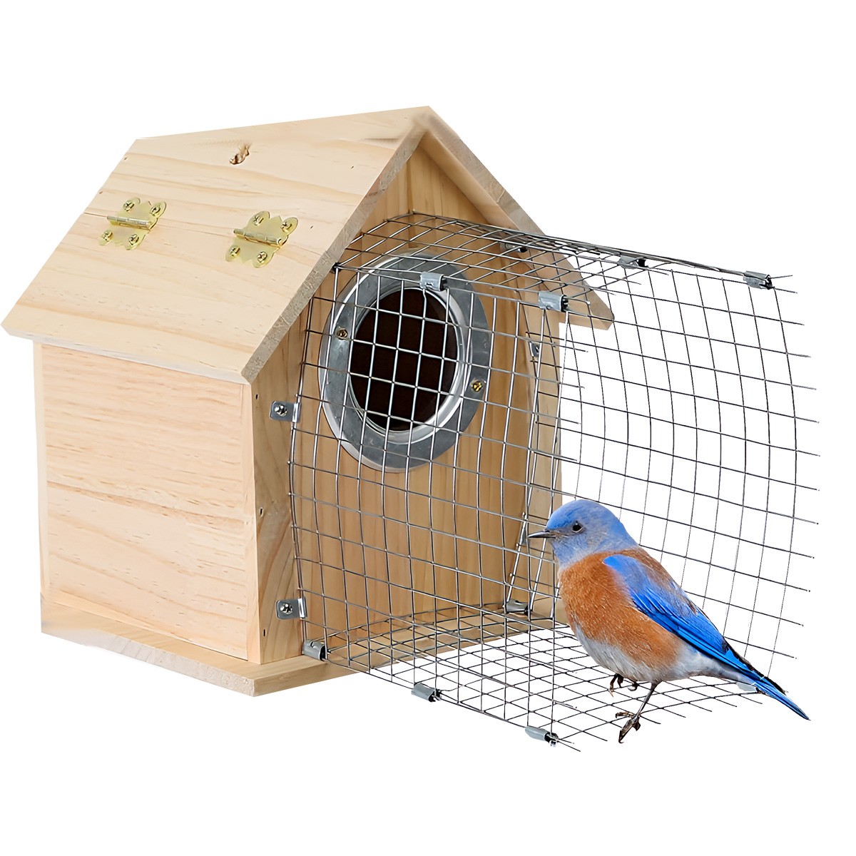 Snake Predator Guard Bluebird House