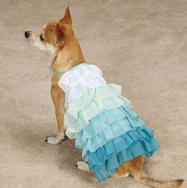 East Side Collection Ombre Ruffle Dog Tanks Tank Pink Blue Pet Dress ...