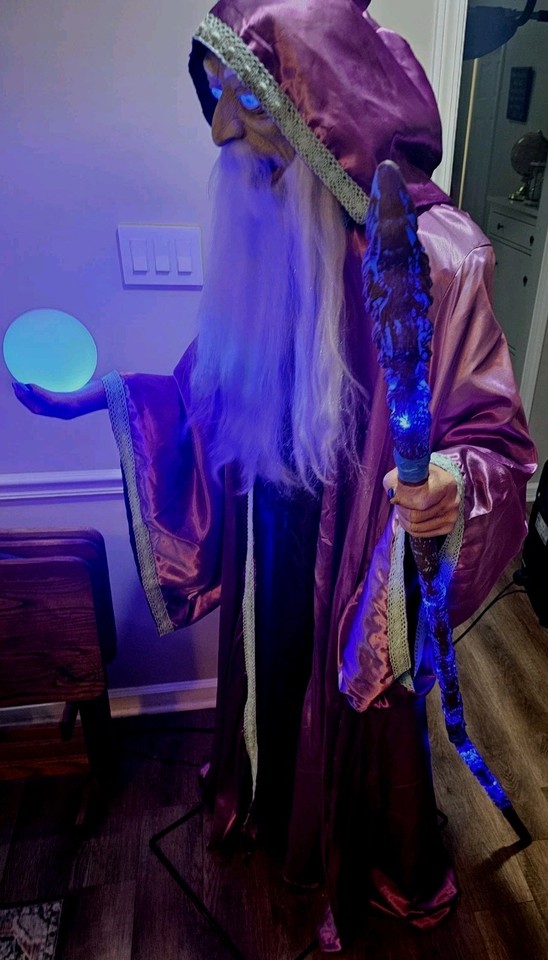 Talking Wizard Lifesize Light Up Home Depot Home Accents Halloween ...