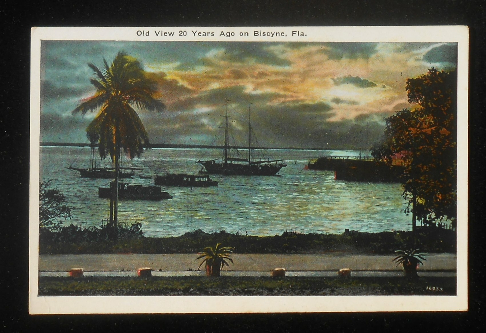 1920s 1900s Old View 20 Years Ago on Biscayne Boats Palm Tree Miami FL ...