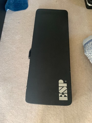 ESP LTD Explorer / Firebird Electric Guitar Black HARD CASE | eBay