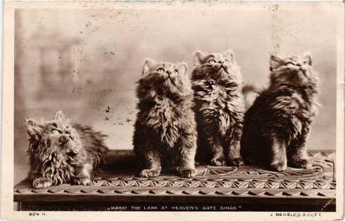 CPA AK Hark! The lark at heaven's gate sings CATS (1340832) | eBay.de