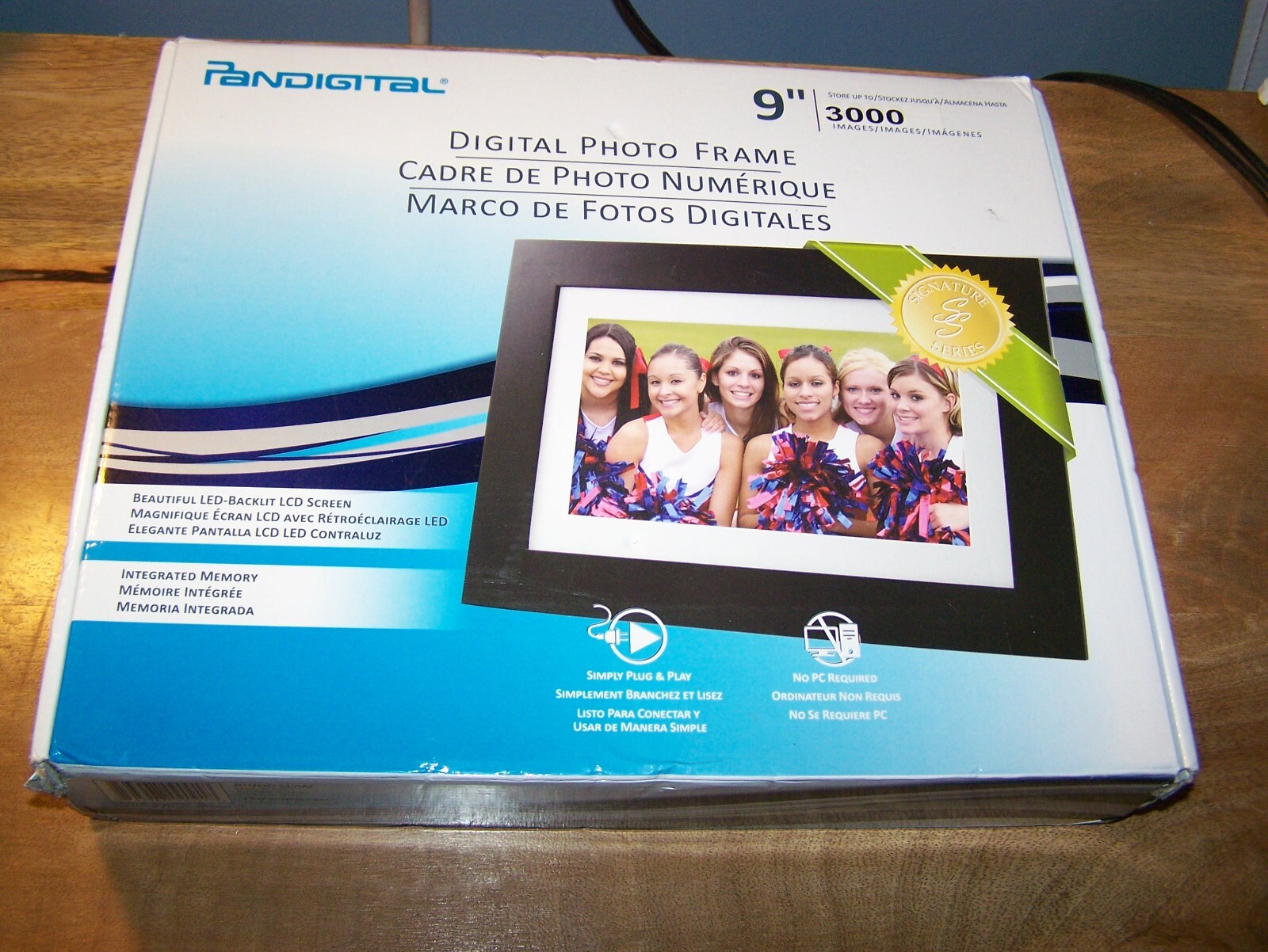 New Panimage PanDigital 9" inch LCD Screen Digital Photo Frame | eBay