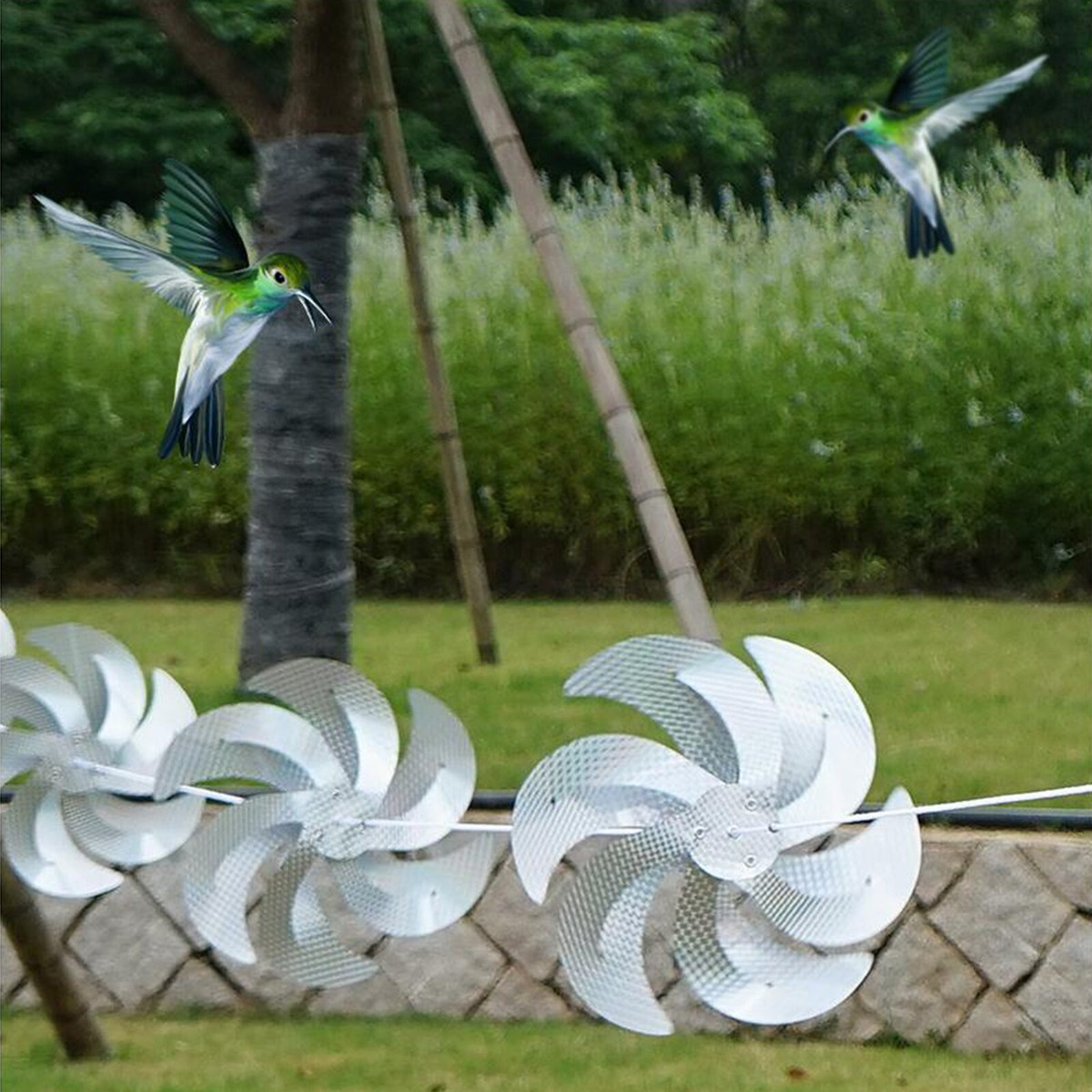 Homemade Pigeon Repellent Bird Deterrent Solutions For Crop