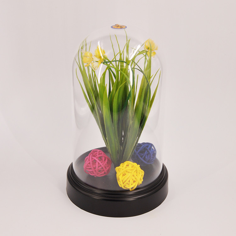 Acrylic Display Dome Case Cloche Globe Gift Decorative Protection DIY ...