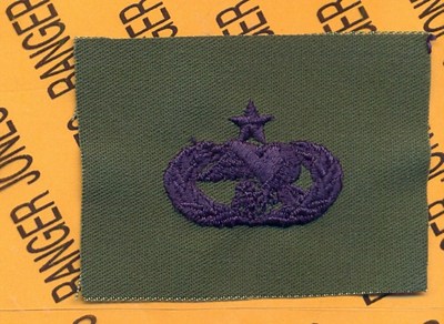 USAF Air Force Senior Transportation Qualification OD Green & Blue ...